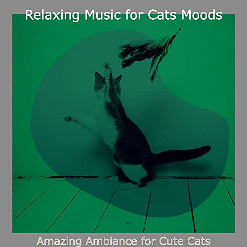 Amazing Ambiance for Cute Cats de Relaxing Music for Cats Moods en ...
