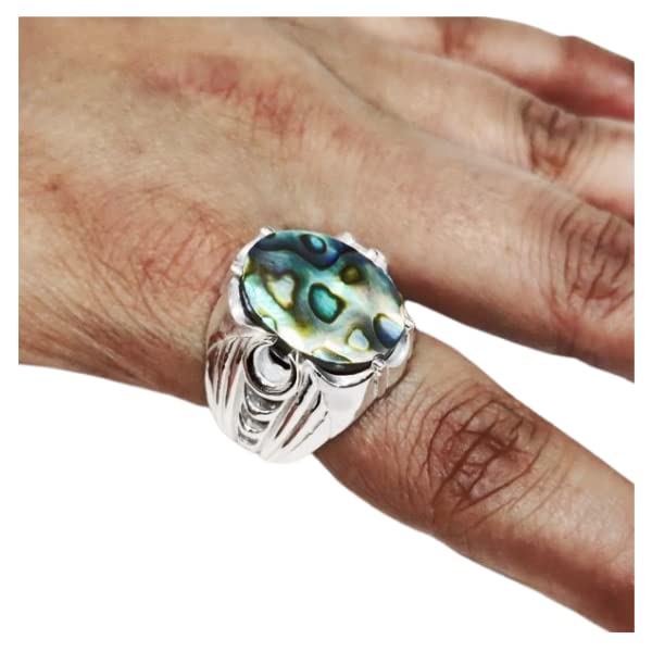 Amazon.com: Abalone Shell Ring, Natural Flat Abalone Shell, Crescent ...
