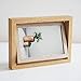 Amazon.com - PLUSCHEN 5x7 Spinning Picture Frame Rotating Photo Frame ...