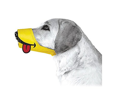 5 Best Dog Muzzle for Dogs of All Sizes in 2019