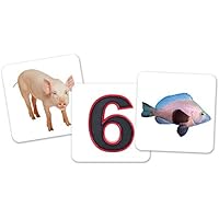 Amazon.com : Learning Resources Vowel Owls Sorting Set, Word ...