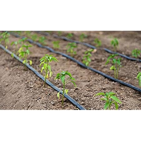 Siddhi 16mm Flat Inline Drip 1000 Meter Lateral 0.25 Thickness Meter ...