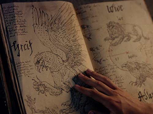 Revive Your Joints with PhytoFlex: Top 10 Products Reviewed and Buying ...