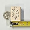 Amazon.com: Leaf and Acorn Rubber Stamps, Fall Rubber Stamps : Arts ...