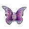 Simulation Butterfly Elegant Hair Claw Barrette Acrylic Hair Accessory ...