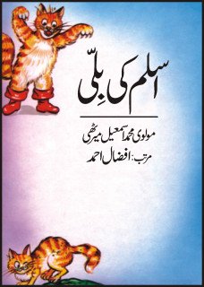 Amazon.com: Aslam Ki Billi: 9789693506860: Ismail: Books