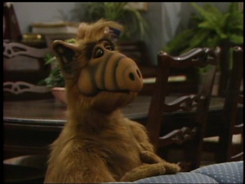 Watch Alf Season 2 | Prime Video