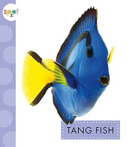 Tang Fish (Spot Ocean Animals): Schuh, Mari: 9781681524207: Amazon.com ...