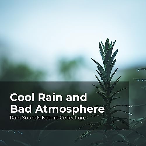 Amazon.co.jp: Cool Rain and Bad Atmosphere : Rain Sounds Nature ...