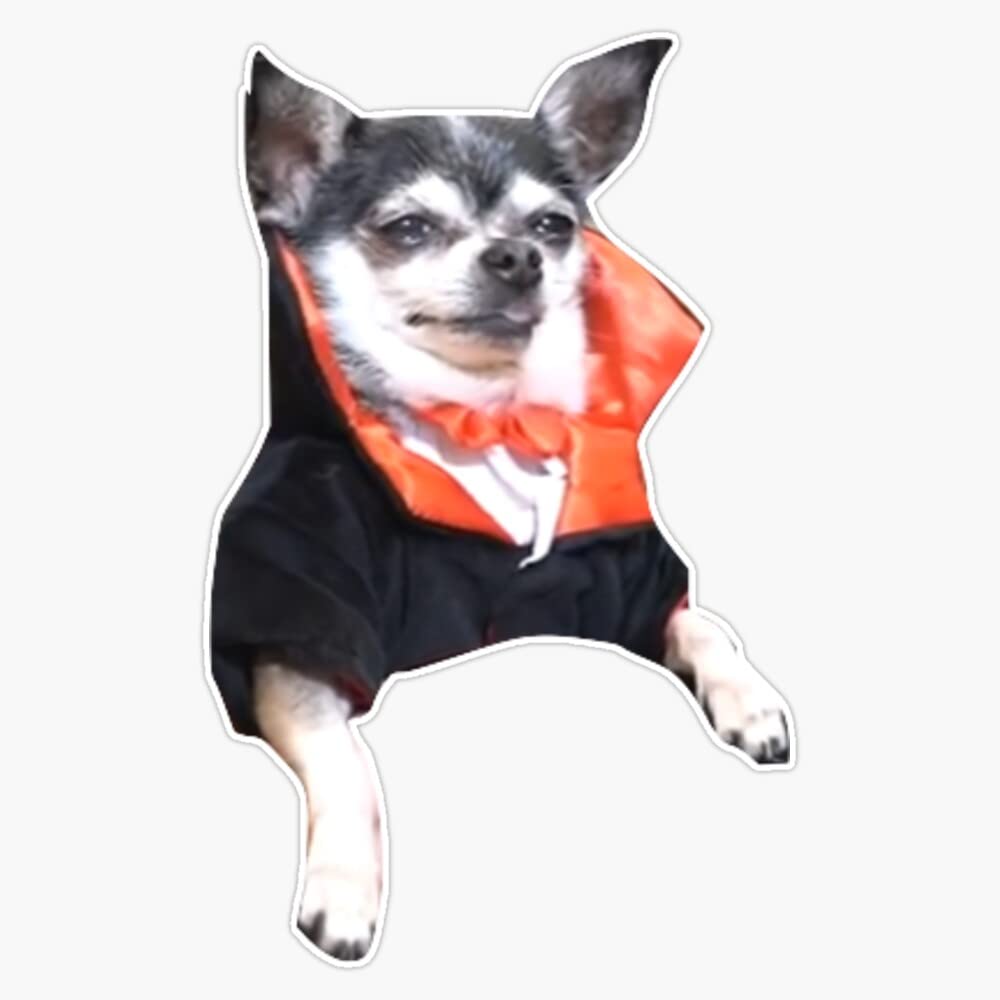 Jennamarbles Halloween Costumes