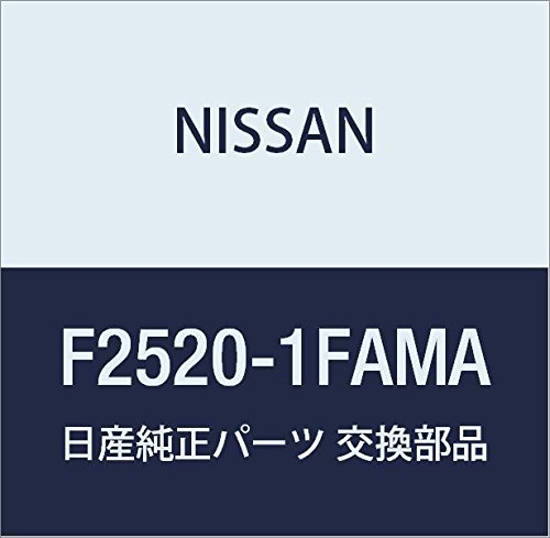 Genuine Nissan F2520-1FAMA Radiator Support : Amazon.in: Car & Motorbike