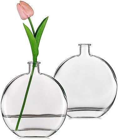 Amazon.com: Glasseam Round Glass Flower Vase Set of 2, Modern Clear ...