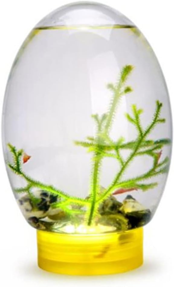 Amazon.com : YaptheS Ecosphere Fish Tank,Closed Aquatic Ecosystem ...