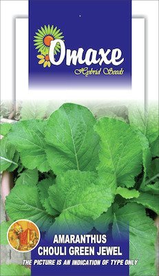 Amaranthus Green Choulai Vegetable seeds Pack of 2 Kitchen Garden ...