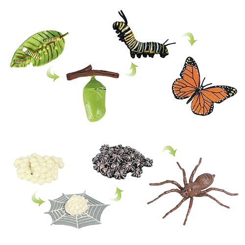 SKHAOVS 2 Sets Insect Figurines Life Cycle of Butterflies Spider Growth ...