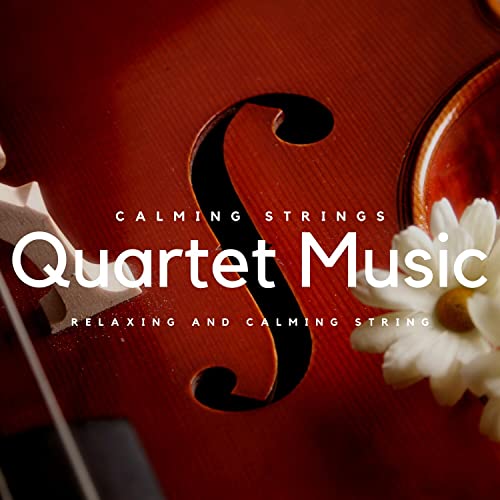 Relaxing and Calming String Quartet Music de Calming Strings, Violins ...