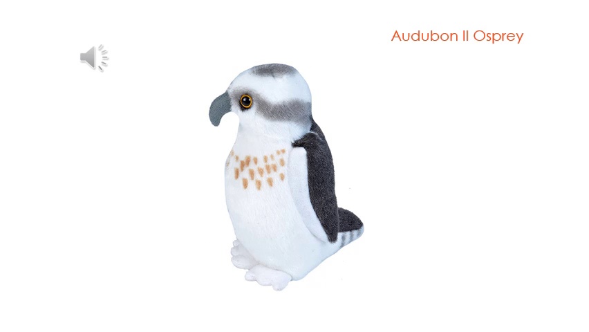 Watch Wild Republic Audubon Birds Osprey Plush with Authentic Bird ...