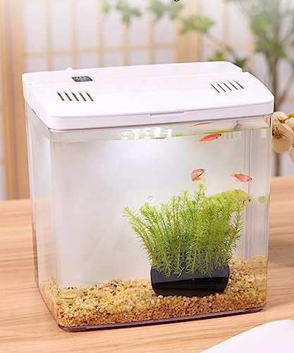 NATLIS USB Charging Mini Aquarium Fish Tank with Led Light, Inbuilt ...