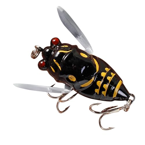 Cicada Fly Fishign Pattern That Fish Won’t Resist (Solved)