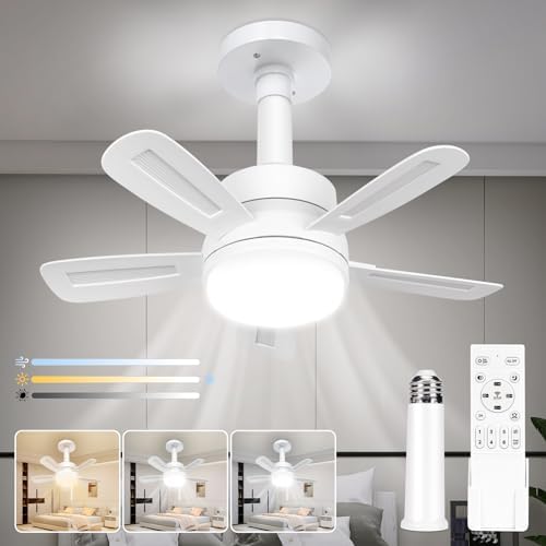 Socket Fan Light with Remote 2000 Lumen Screw in Ceiling Fan in Light ...