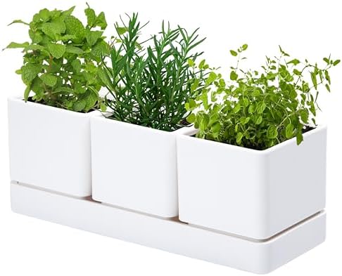 Amazon.com : D'vine Dev Herb Garden Planter Set, Plastic Plant Pots ...
