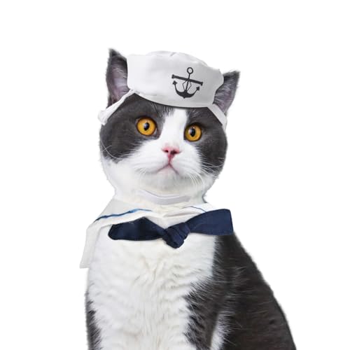 Ahoy there! Discover the top 10 Sailor Dog products to keep your furry ...