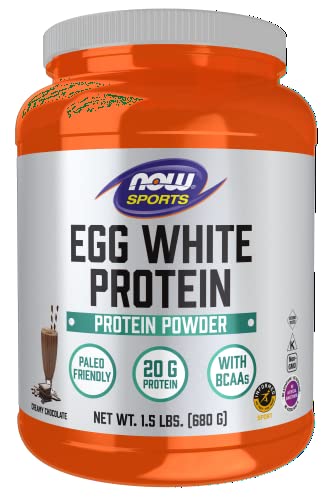 Top 10 Egg Based Protein Powder of 2022 - Katynel