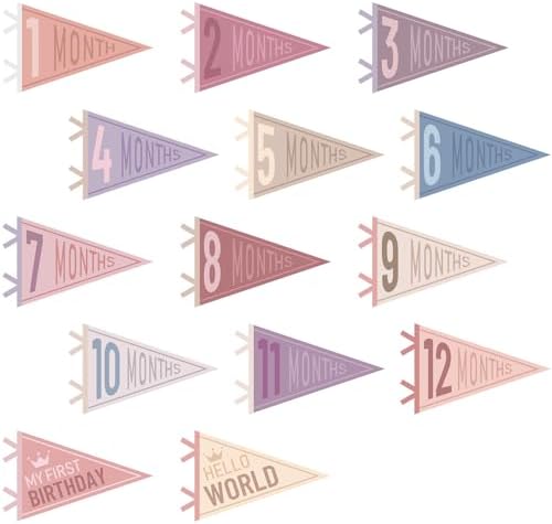 Amazon.com: VitalCozy 14 Pcs Baby Milestone Pennant Signs Monthly ...