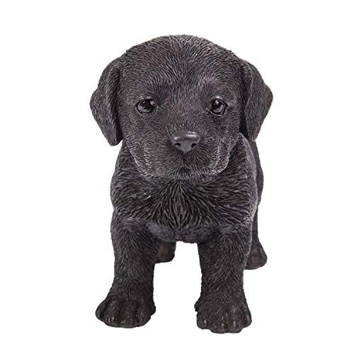 Amazon.com: Pacific Giftware Realistic Chocolate Labrador Puppy Resin ...
