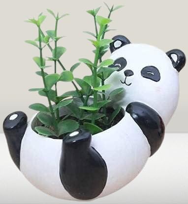 Suraj ENTERPRIESE Cute Cartoon Lying Panda Succulent Planter for Indoor ...