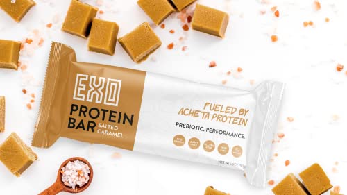 EXO Prebiotic Protein Bars, Salted Caramel | Dairy Free, Gluten Free ...