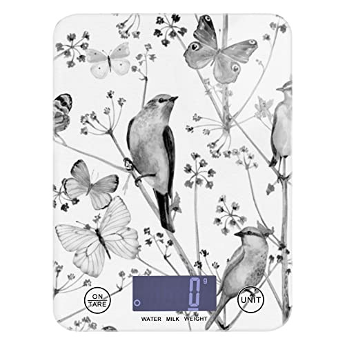 10 Best Gram Scale For Birds 2024 | There's One Clear Winner ...