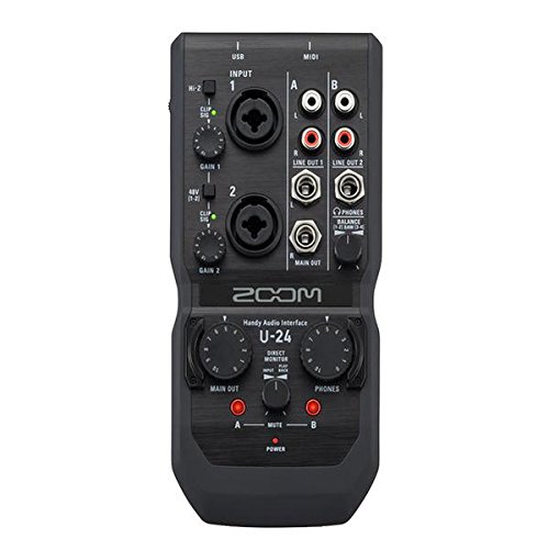Zoom U-24 Handy Audio Interface - Black : Amazon.in: Musical Instruments