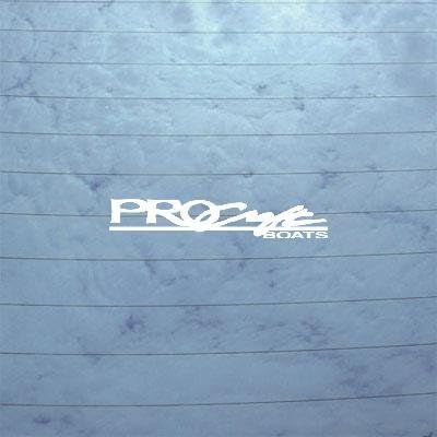 Amazon.com: cybersavs Window Decoration Decal Home Decor Art Tracker ...