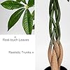 Amazon.com: 3FT Fake Money Tree Plant Indoor Potted Plants Artificial ...