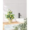 Amazon.com: AceList Fake Lemon Tree for Lemon Decor, 23 Inches Nearly ...