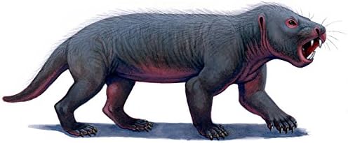 Póster de Kayentatherium a mamífero tritylodont of the Jurassic Period ...