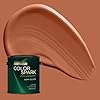 Rust-Oleum Color Spark Interior Paint and Primer in One, Semi-Gloss ...