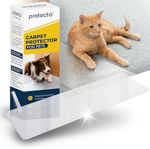 Amazon.com : QWR 3.6Ft Carpet Protector for Pets - Cat Carpet Protector ...