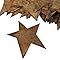 Amazon.com: Pack of 100 Rusty Tin Star Cutouts - Rusted Metal Stars for ...