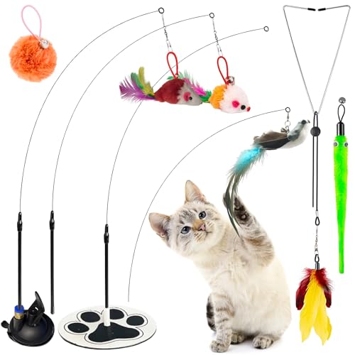 Bird Cat Toy – The 15 best products compared - Wild Explained