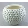 Amazon.com: Accents & Occasions Ceramic Golf Ball Planter or Flower ...