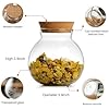 Amazon.com: DNIENKGE 17oz Spherical Glass Jar with Cork Lid Airtight ...