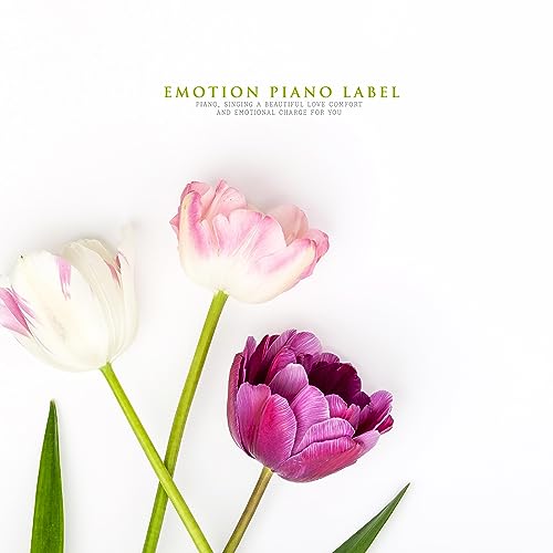 Fresh Stream – Die 15 besten Produkte im Vergleich - WinTotal