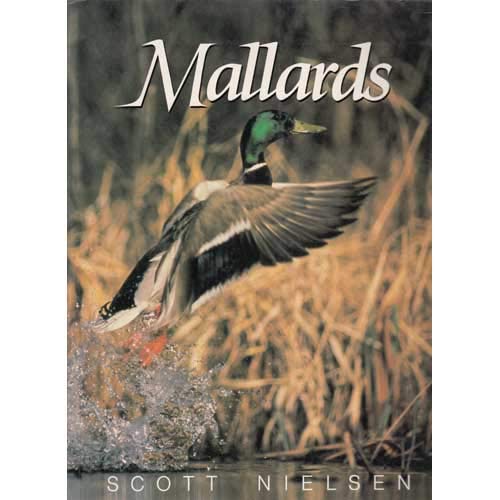 Mallards: Nielsen, Scott: 9780896582385: Amazon.com: Books