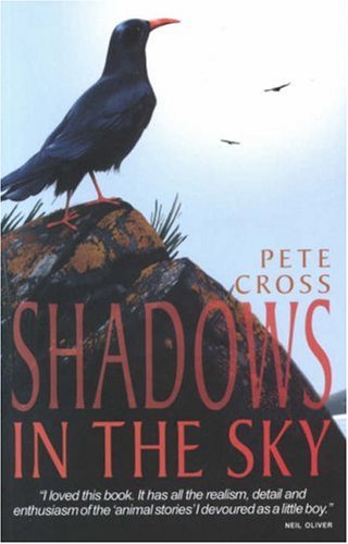 Shadows in the Sky: Pete Cross, Colin Stimpson: 9781904239079: Amazon ...