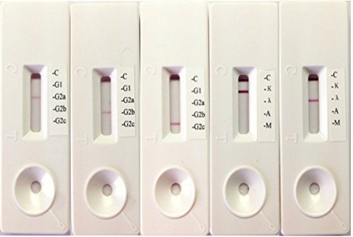 Amazon.com: Rat Monoclonal Antibody Isotyping Kit (20 Tests ...