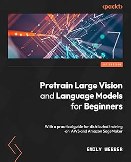Pretrain Large Vision and Language Models for Beginners: With a practical guide for distributed ...