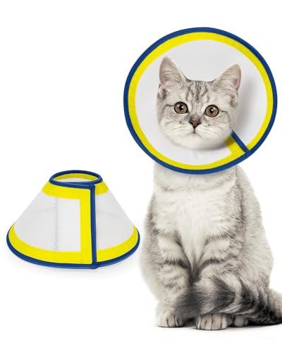 Cat Cones – The 15 best products compared - Wild Explained