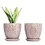 Amazon.com : Bestseler 6 Inch Retro Ceramic Planter Set of 2 with ...